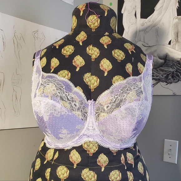 Panache | Intimates & Sleepwear | Panache Clara Lace Full Cup Bra Uk 4h ...